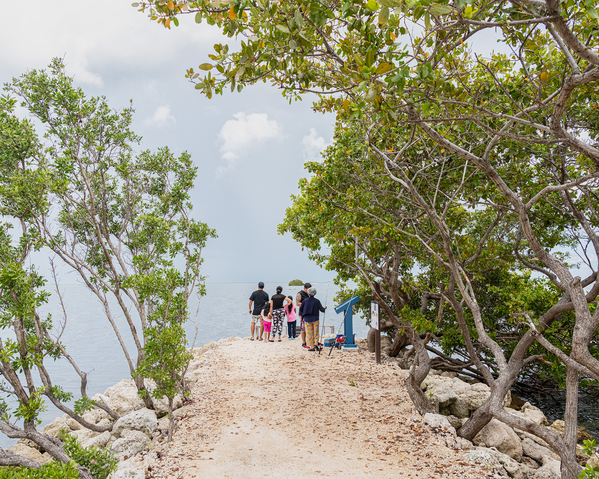 Convoy Point Jetty Walk (Self-Guided) - Biscayne National Park (U.S ...