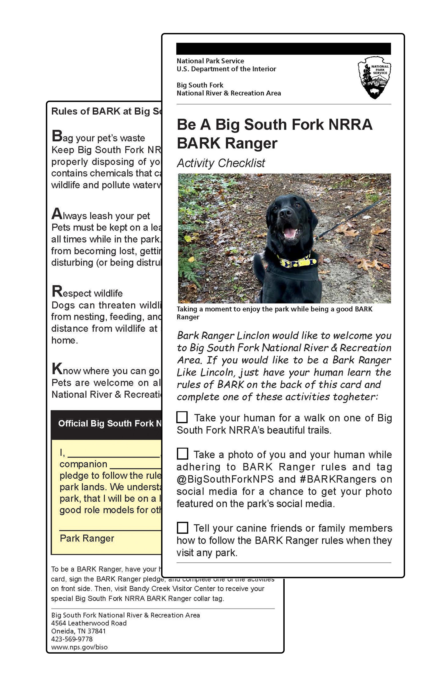 Be a Big South Fork BARK Ranger - Big South Fork National River ...