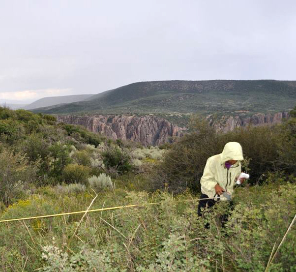 Science & Research - Black Canyon Of The Gunnison National Park (U.S ...