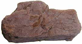 Pegmatite - Black Canyon Of The Gunnison National Park (U.S. National ...