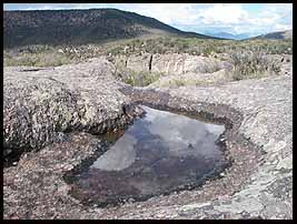 Pothole Ecology - Ephemeral Pools - Black Canyon Of The Gunnison ...