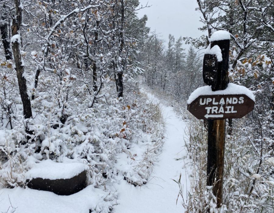 Current Conditions - Black Canyon Of The Gunnison National Park (U.S ...