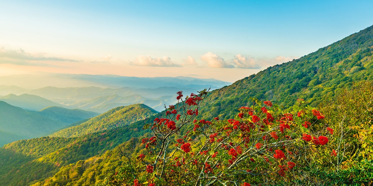 Craggy Gardens - Milepost 364 - Blue Ridge Parkway (U.S. National Park ...