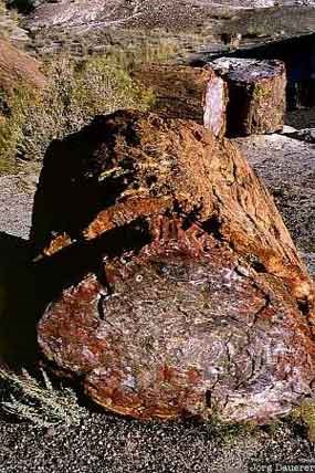 Activity 3: Permineralization - Bryce Canyon National Park (U.S ...