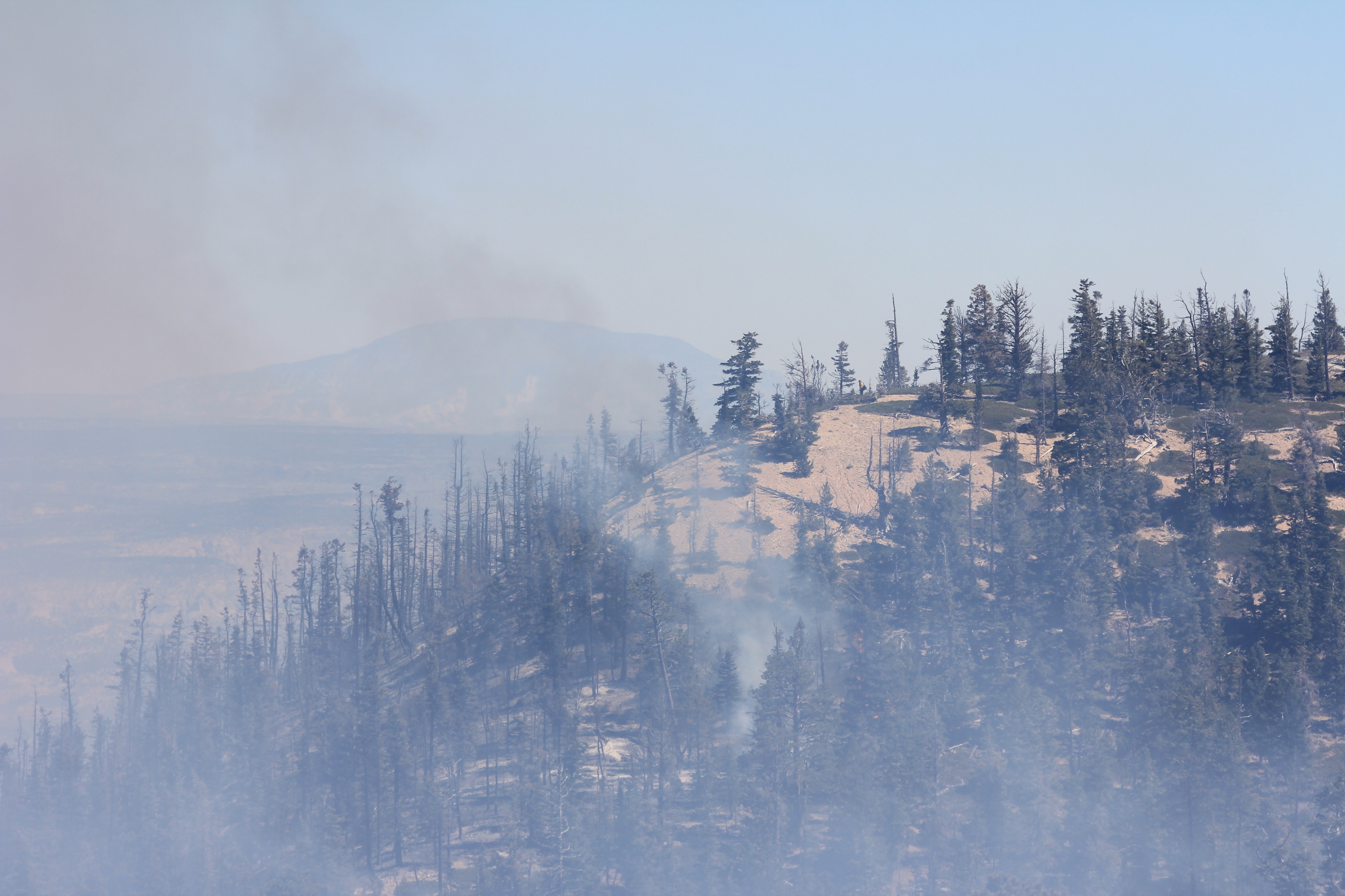fire history - Bryce Canyon National Park (U.S. National Park Service)
