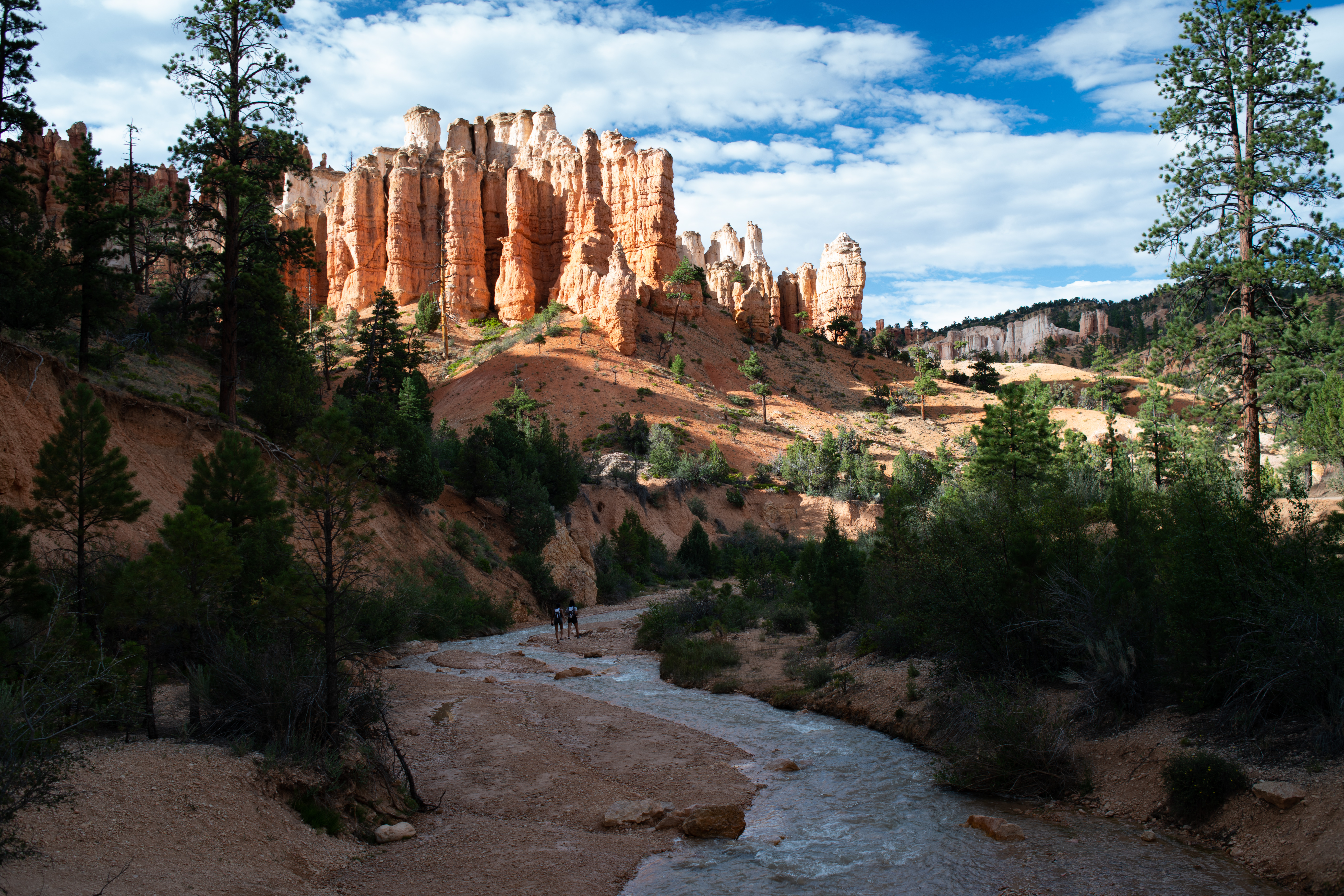 Birds - Bryce Canyon National Park (U.S. National Park Service)