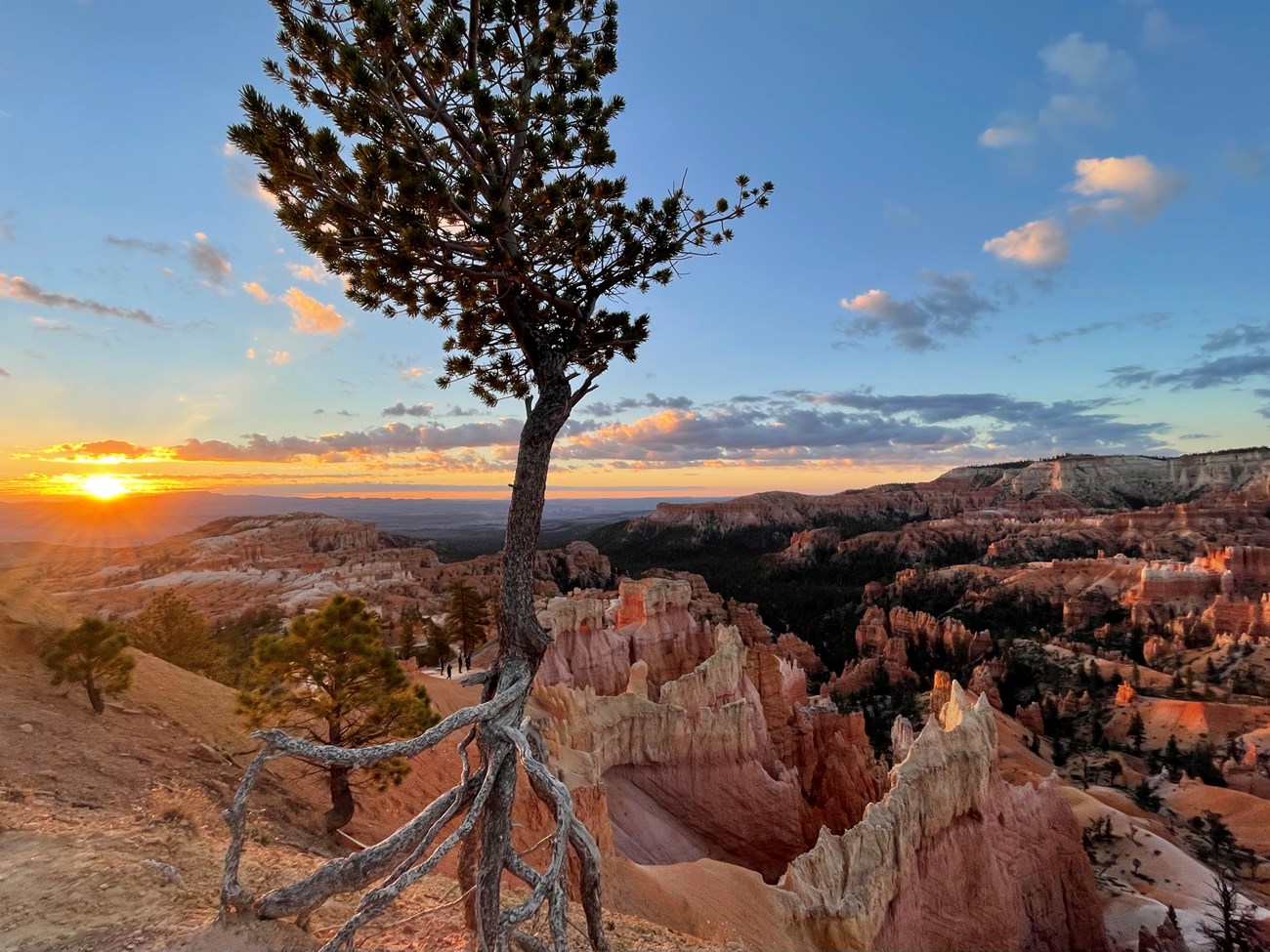 Bryce Canyon Photo Contest - Bryce Canyon National Park (U.S. National ...