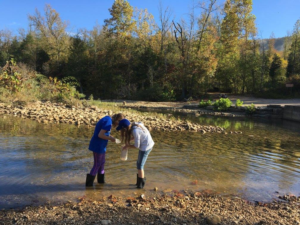 Learn About the Park - Buffalo National River (U.S. National Park Service)