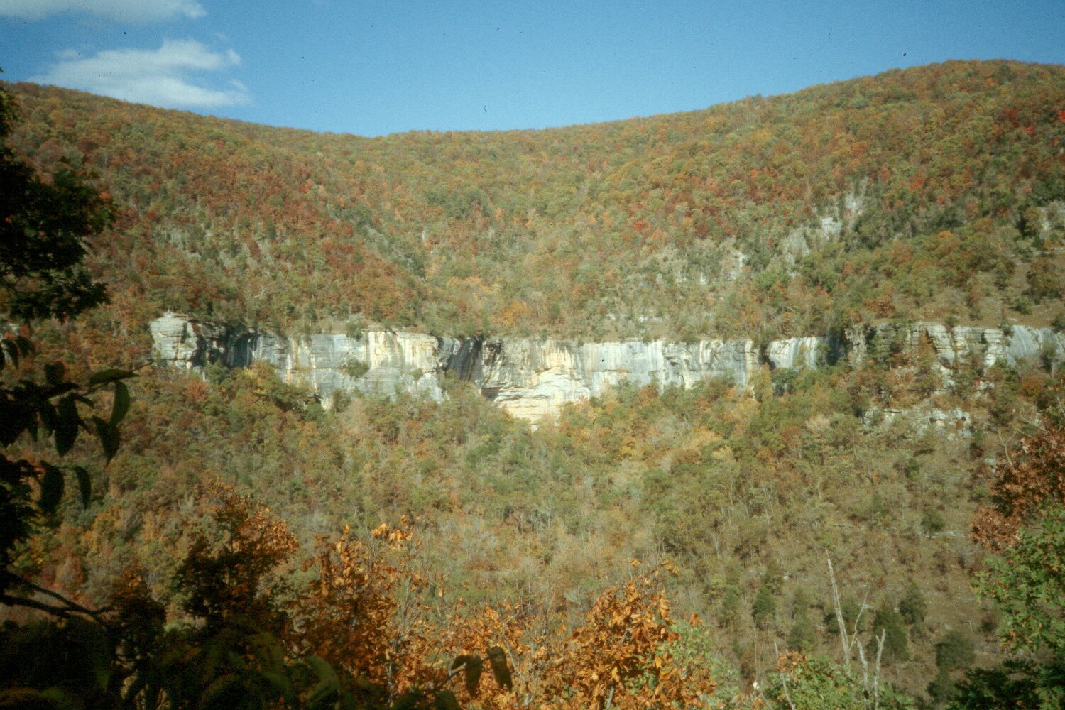Forests - Buffalo National River (U.S. National Park Service)