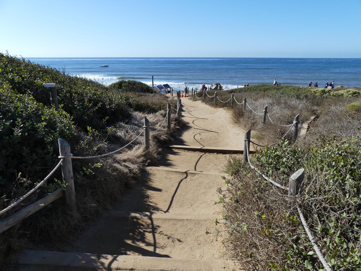 A Virtual Visit to the Tidepools - Cabrillo National Monument (U.S ...