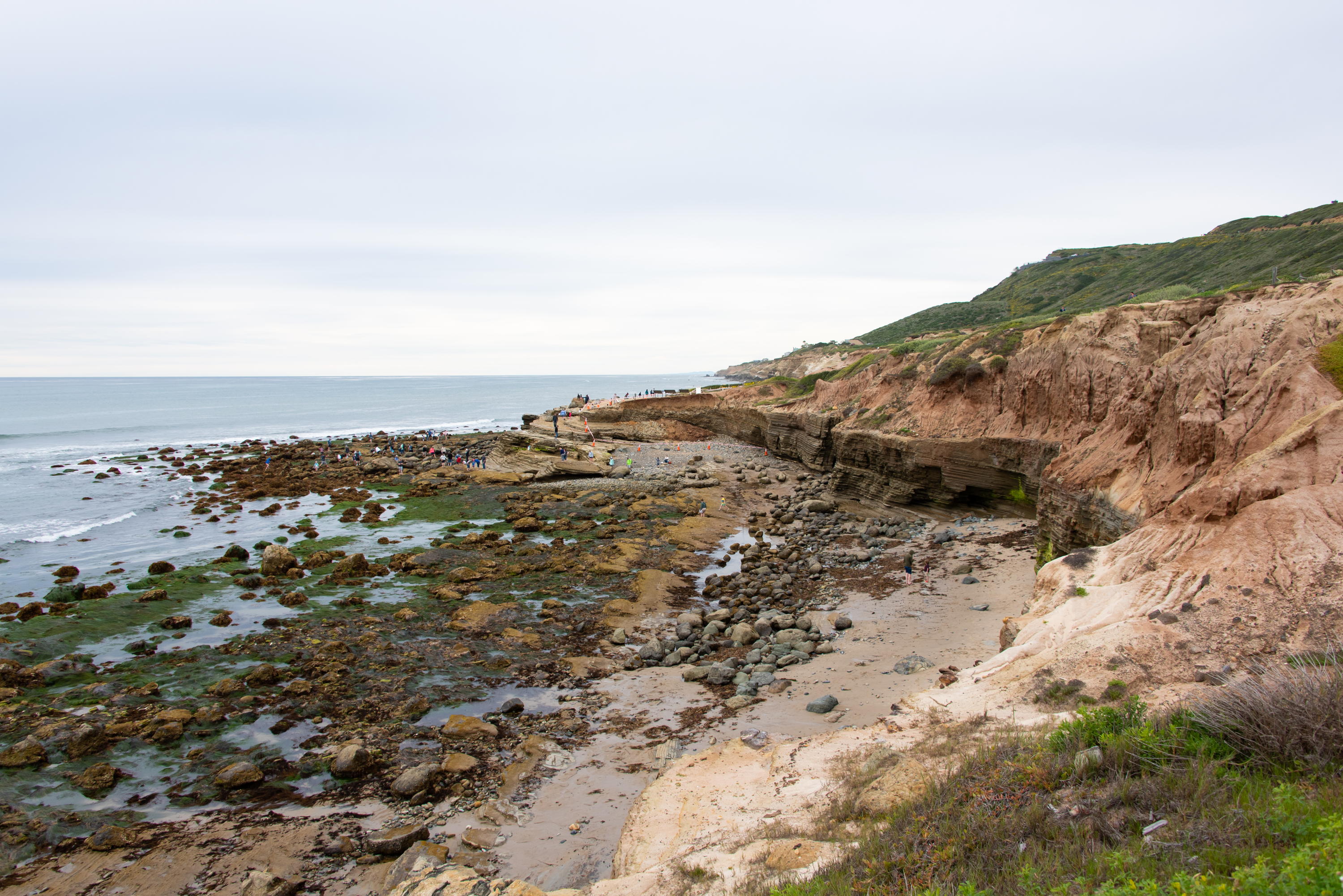A Virtual Visit to the Tidepools - Cabrillo National Monument (U.S ...