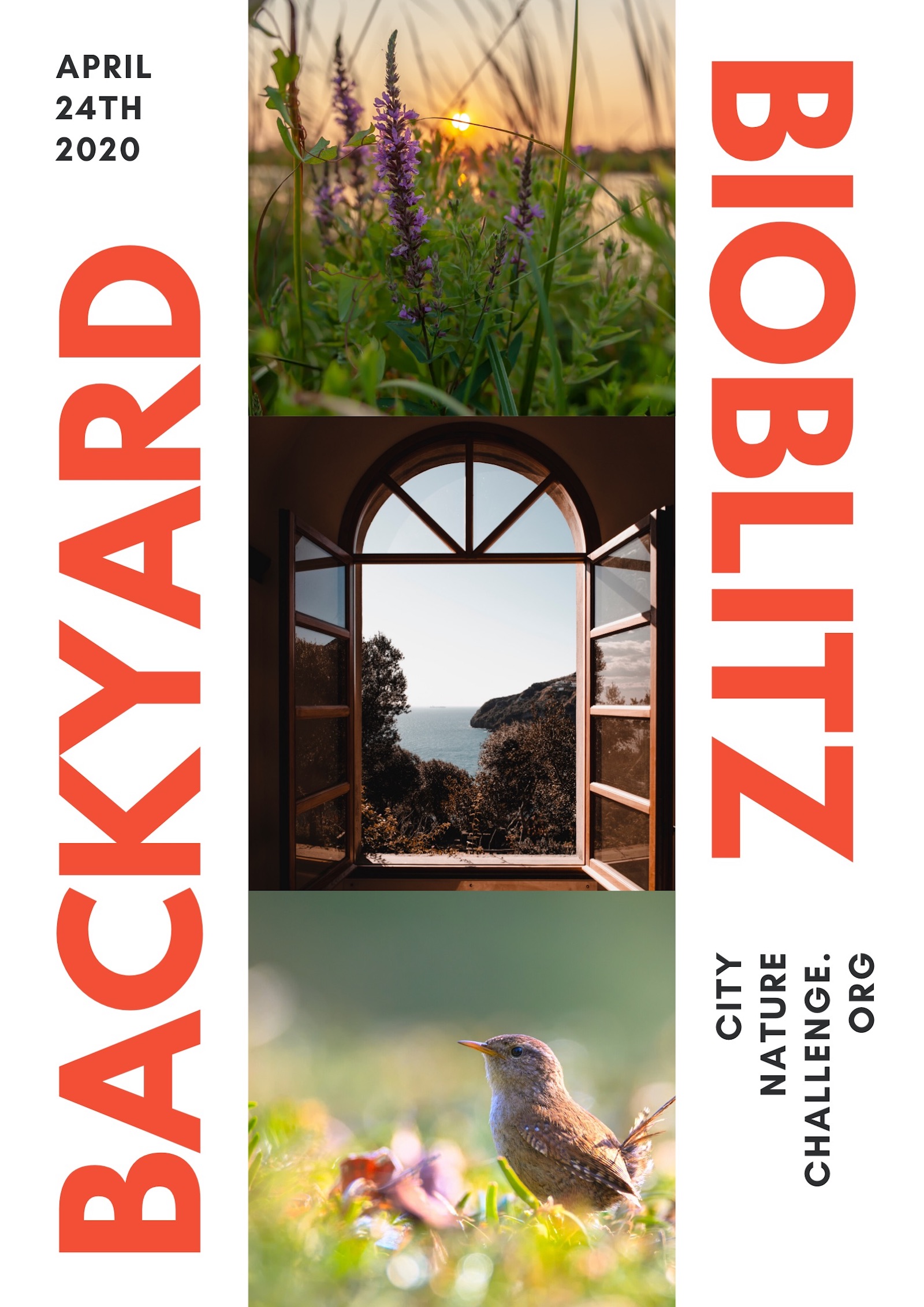 City Nature Challenge Backyard BioBlitz 2020 - Cabrillo National ...