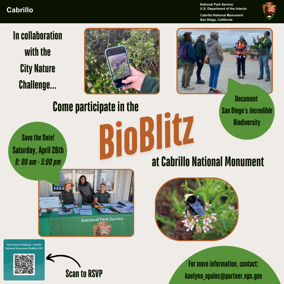 City Nature Challenge BioBlitz - Cabrillo National Monument (U.S ...