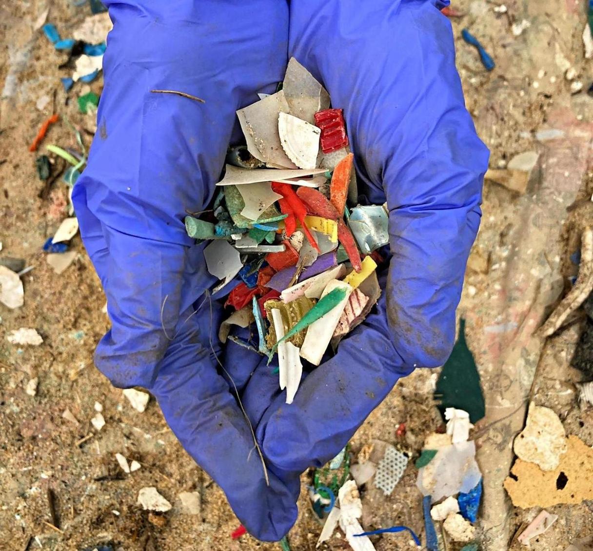 Marine Debris - Cape Cod National Seashore (U.S. National Park Service)