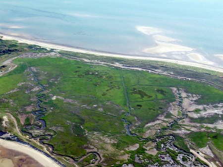 Estuaries and Salt Marshes - Cape Cod National Seashore (U.S. National ...