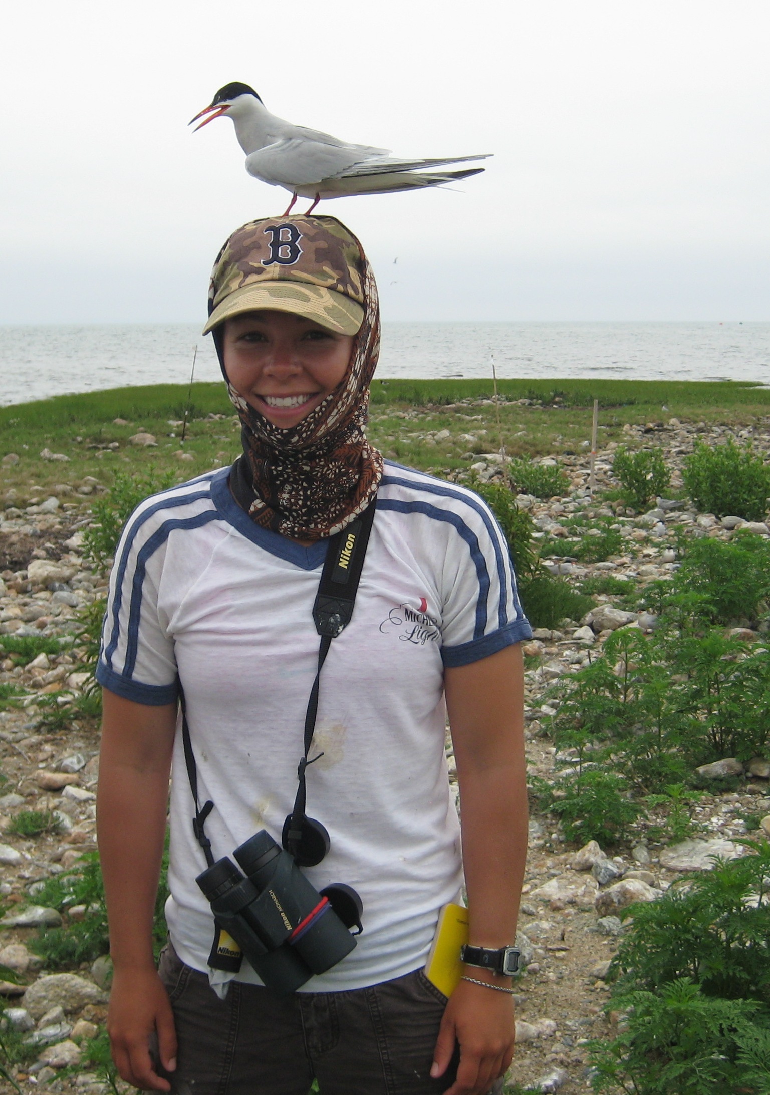 Nuray Taygan - Cape Cod National Seashore (U.S. National Park Service)