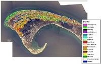 Vegetation Mapping - Cape Cod National Seashore (U.S. National Park ...