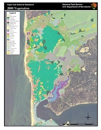 Vegetation Mapping - Cape Cod National Seashore (U.S. National Park ...