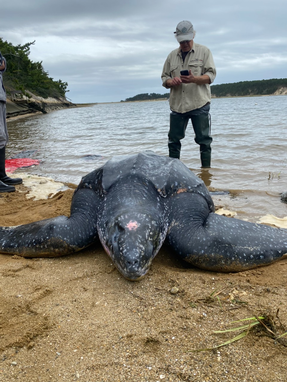 Sustaining Cape Cod Speaker Series - Cape Cod National Seashore (U.S ...