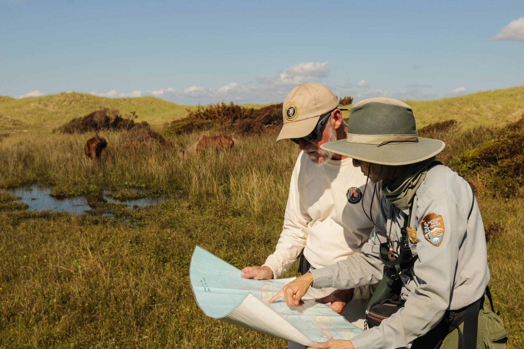 Pony Patrol - Cape Lookout National Seashore (U.S. National Park Service)