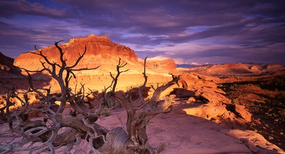 Photos & Multimedia - Capitol Reef National Park (U.S. National Park ...