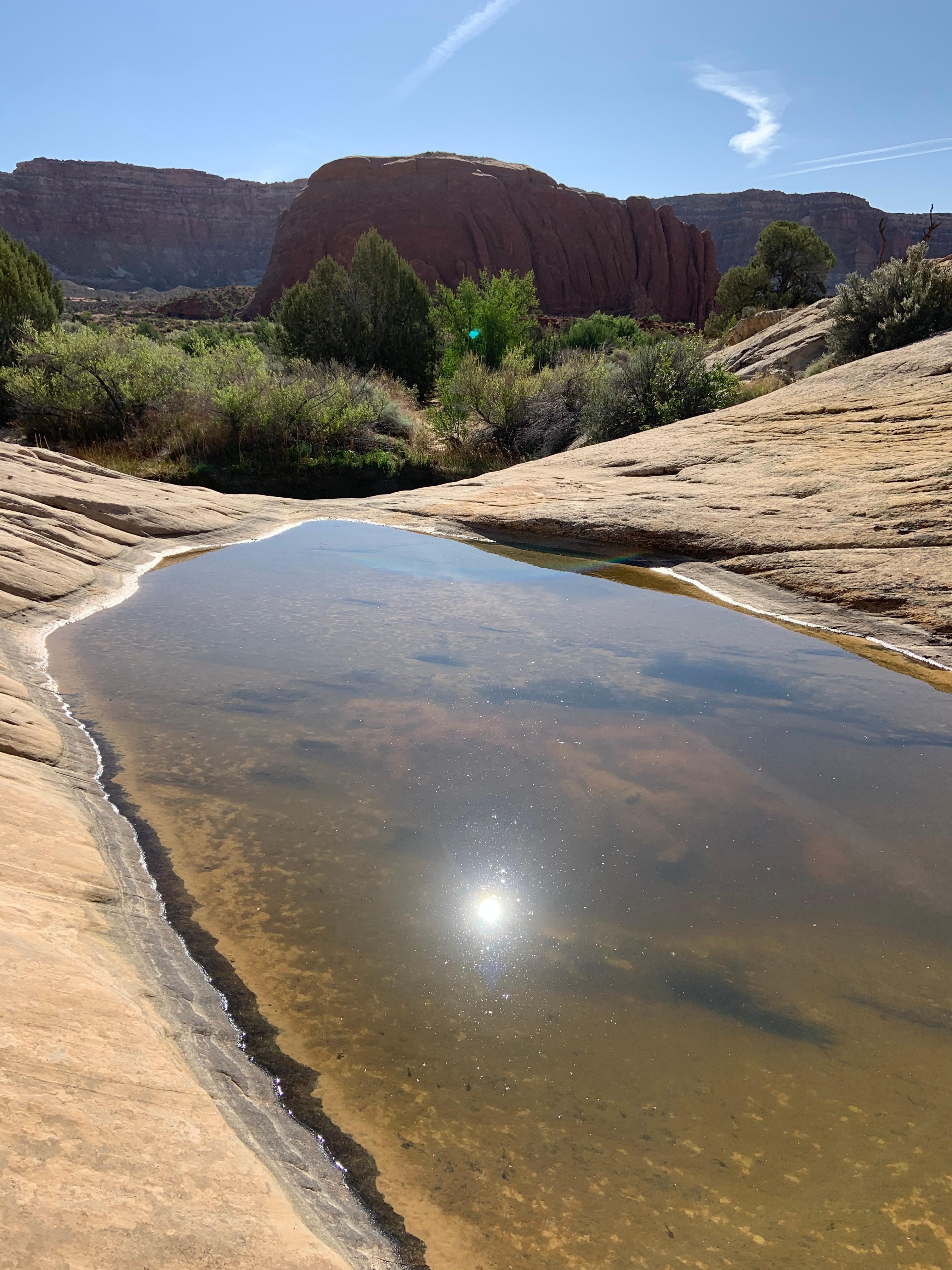 Lower Muley Twist Canyon - Capitol Reef National Park (U.S. National ...