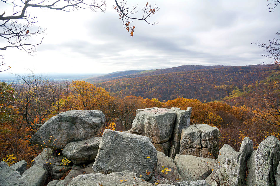 Eastern Forests and Climate - Catoctin Mountain Park (U.S. National ...