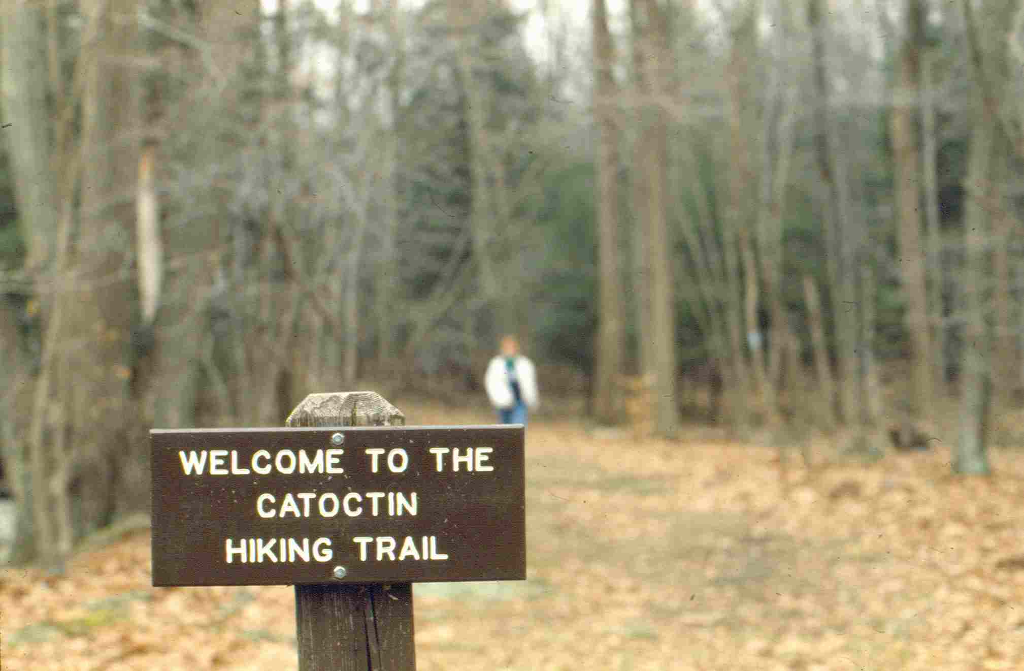 Hiking - Catoctin Mountain Park (U.S. National Park Service)