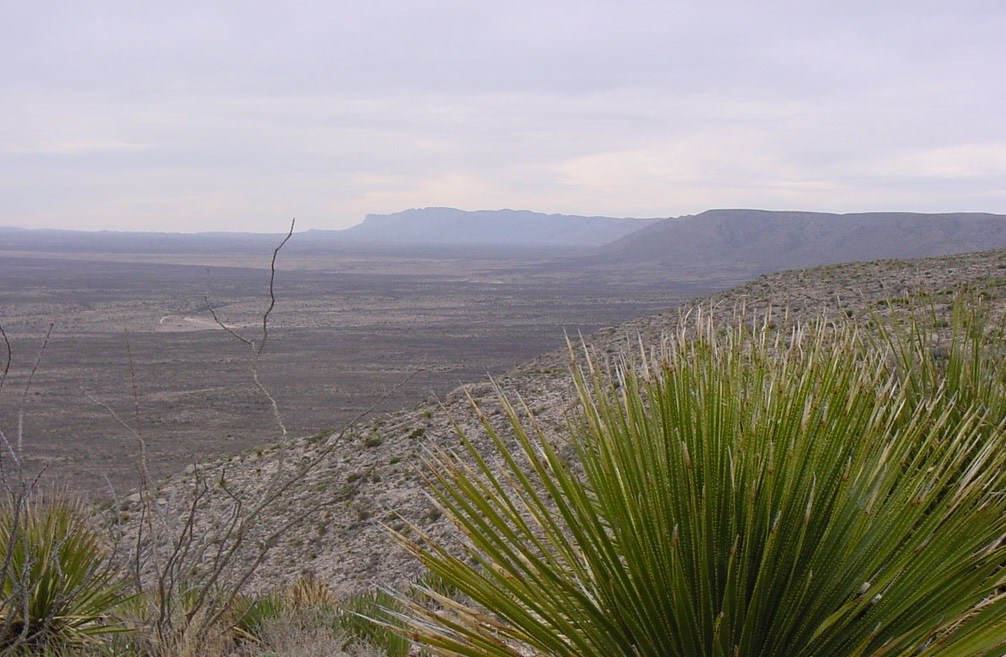 Old Guano Trail - Carlsbad Caverns National Park (U.S. National Park ...