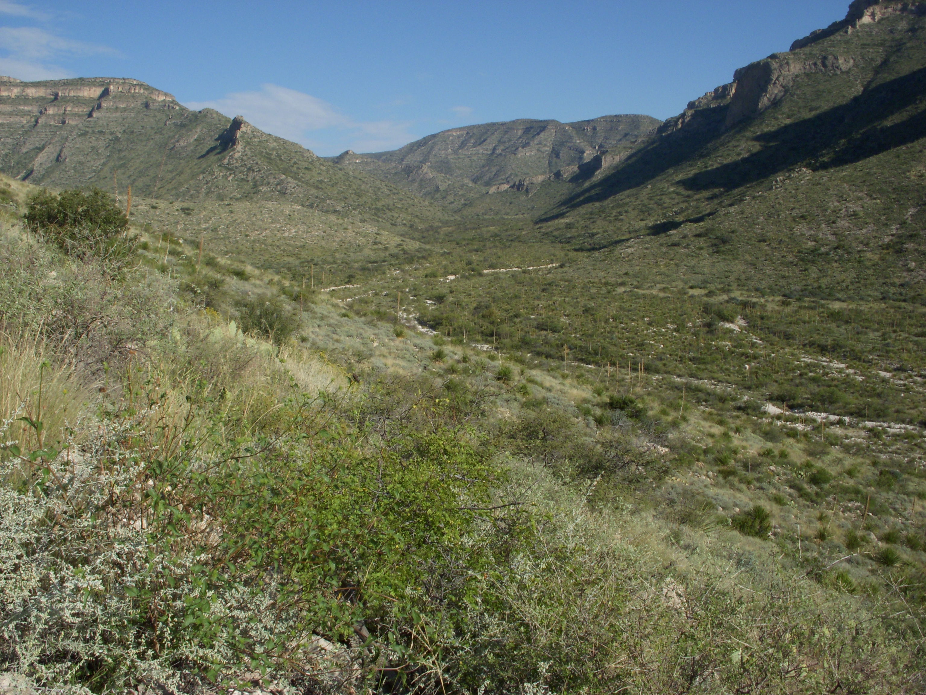 Slaughter Canyon - Carlsbad Caverns National Park (U.S. National Park ...