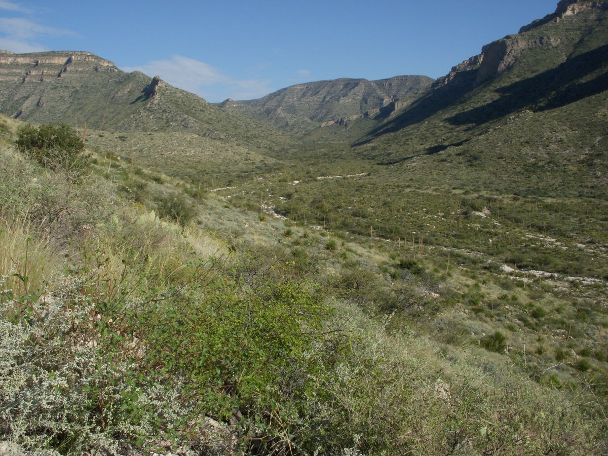 Slaughter Canyon - Carlsbad Caverns National Park (U.S. National Park ...