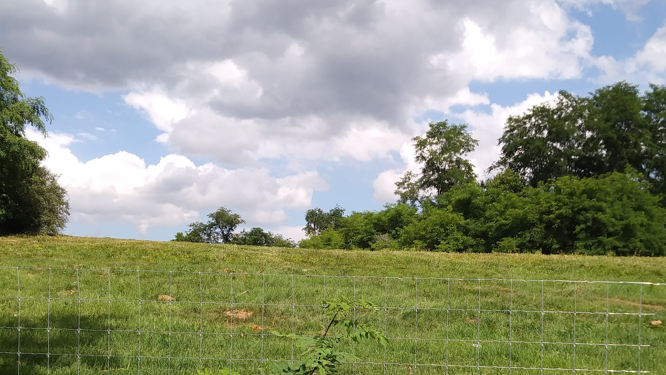 First Battle of Winchester (U.S. National Park Service)