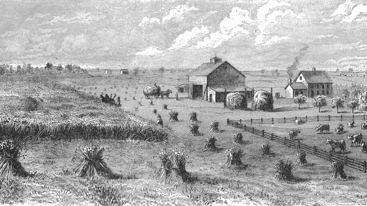 Breadbasket of the South (U.S. National Park Service)