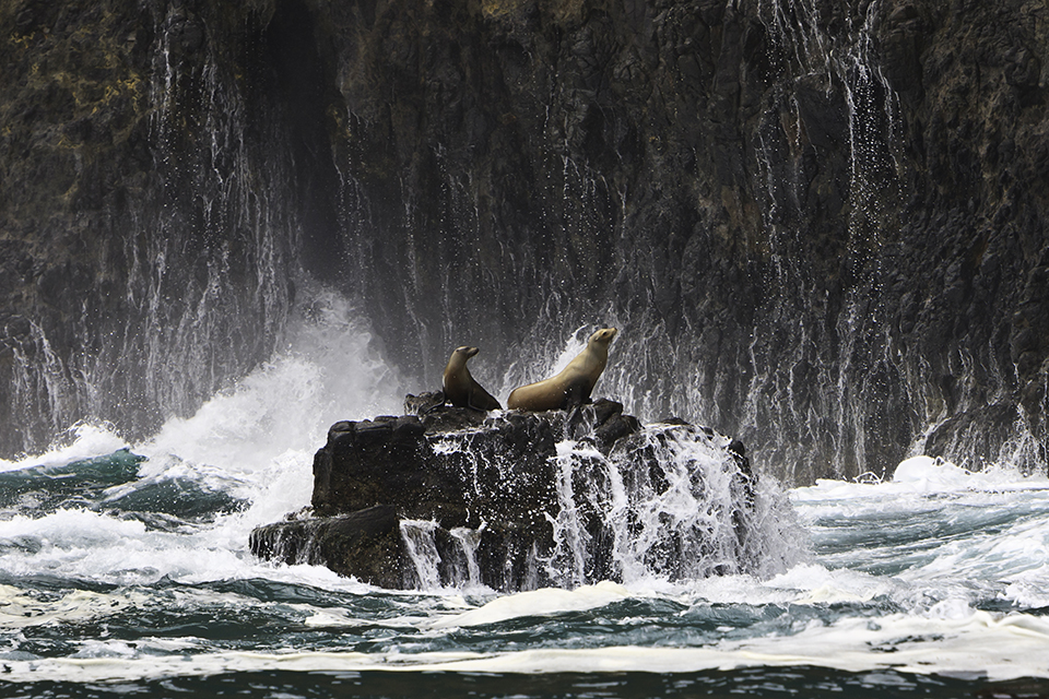 Climate Change - Channel Islands National Park (U.S. National Park Service)