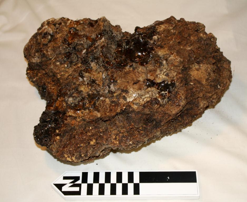 Research - City Of Rocks National Reserve (U.S. National Park Service)