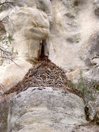 Natural Features & Ecosystems - City Of Rocks National Reserve (U.S ...