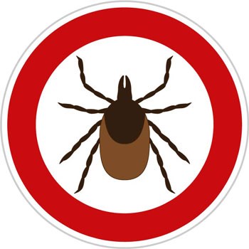 Tick Safety - City Of Rocks National Reserve (U.S. National Park Service)