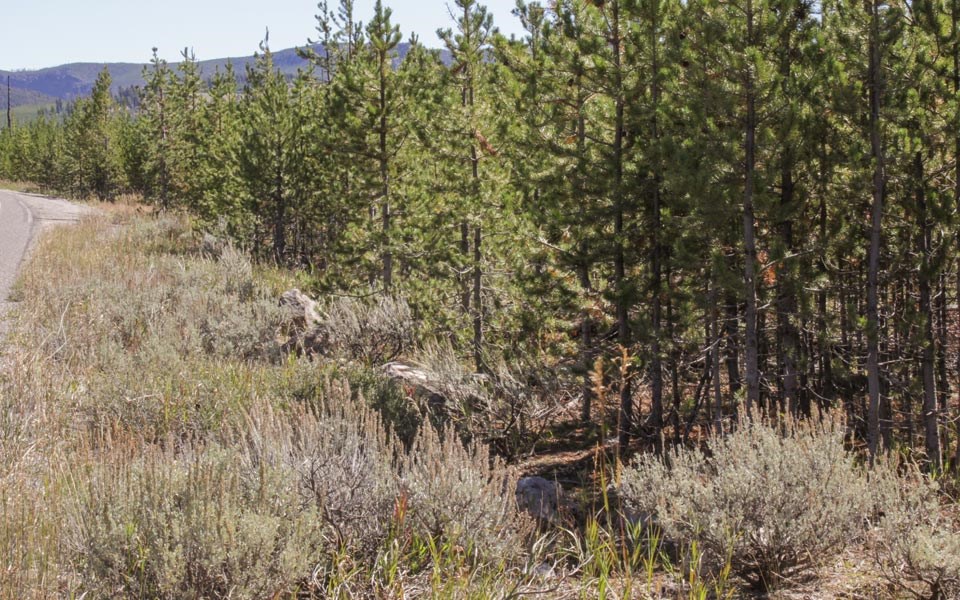 Resources for Commercial Guides - Yellowstone National Park (U.S ...