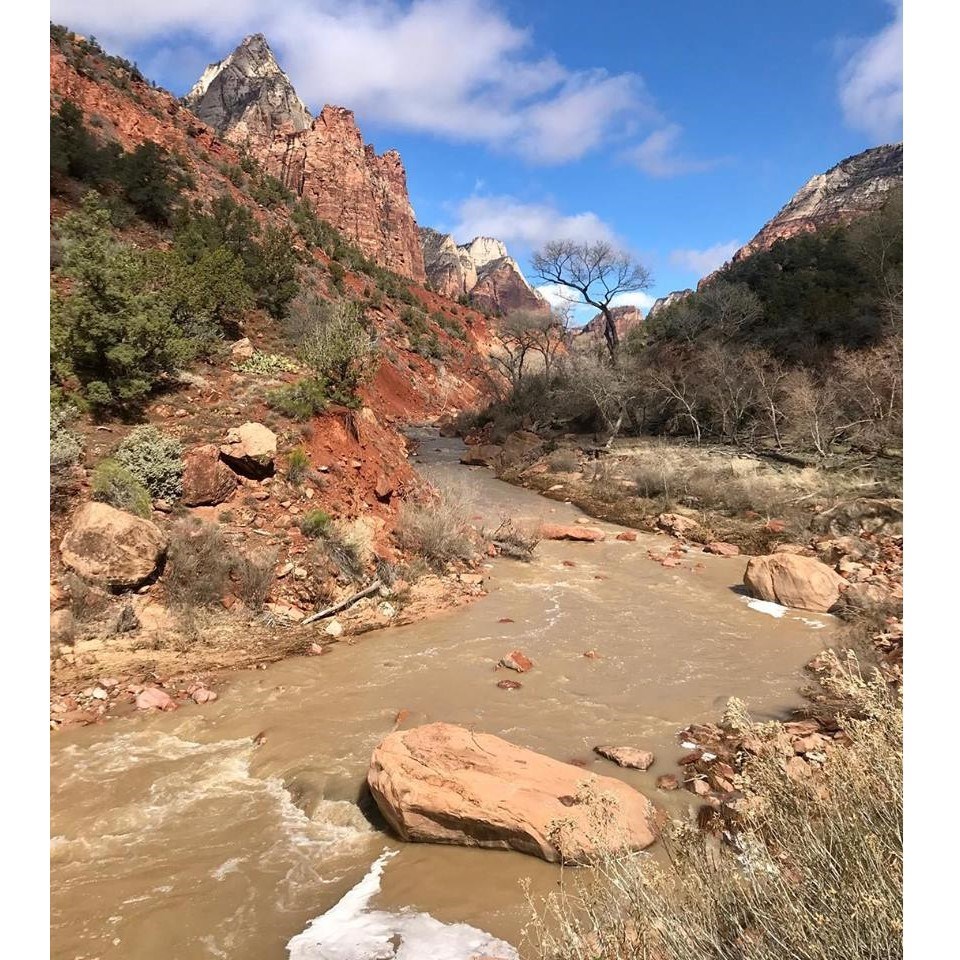 Flash Floods - Zion National Park (U.S. National Park Service)