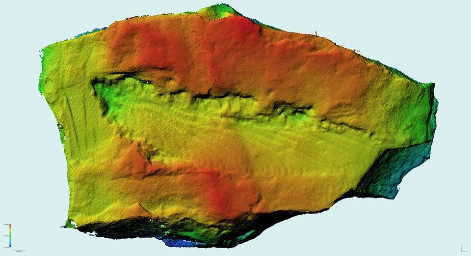 Dragonfly Wing Fossil (U.S. National Park Service)