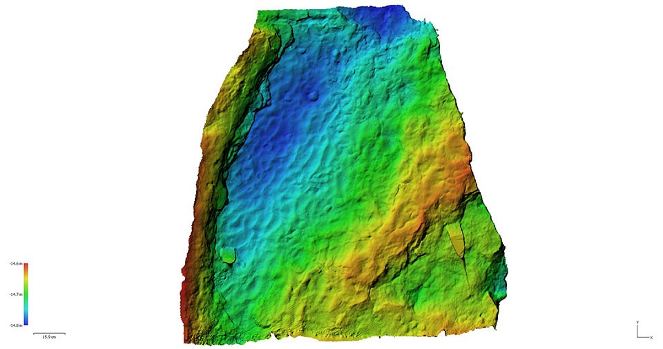 Ripples and Bivalves (U.S. National Park Service)