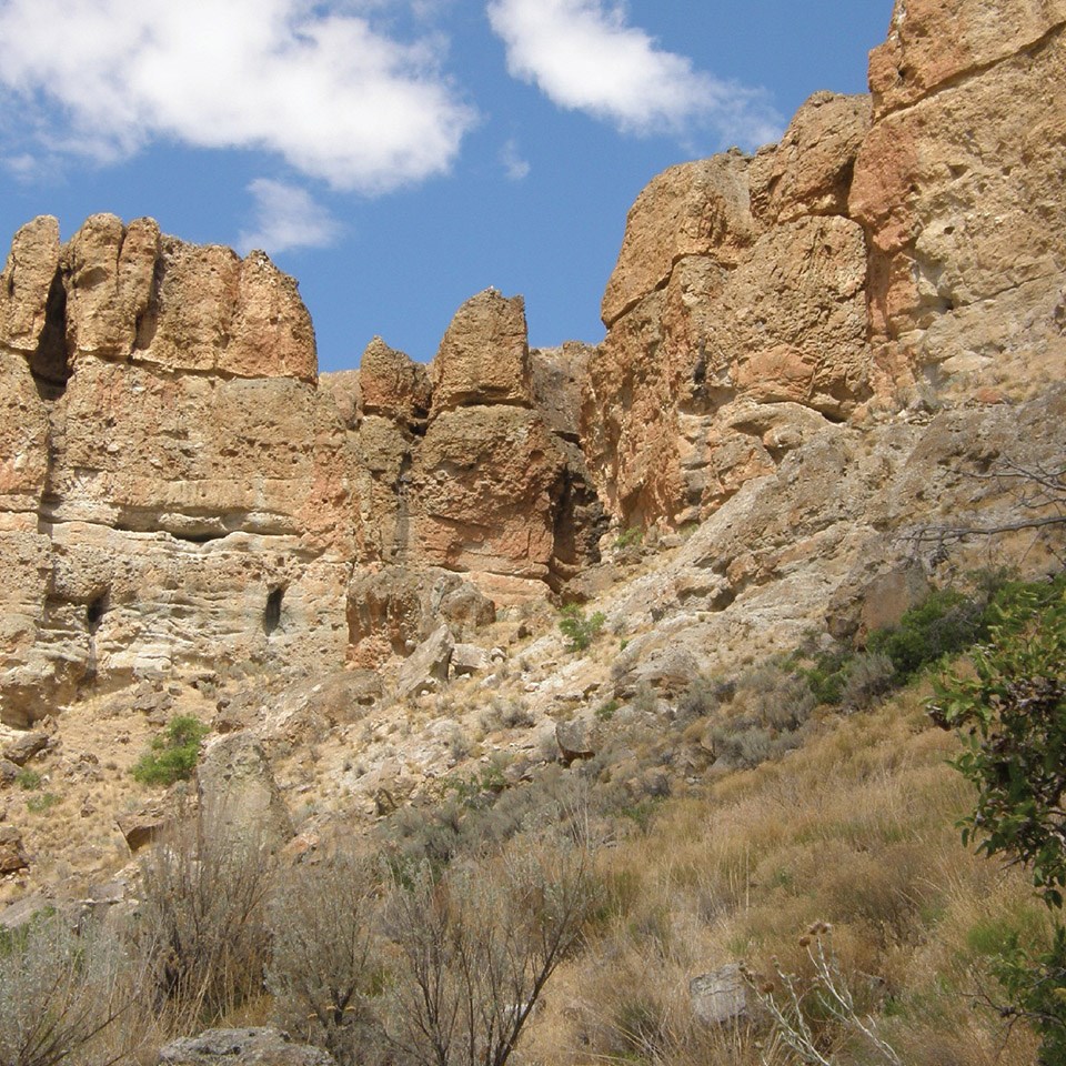 Then and Now - Cenozoic Fossil Parks (U.S. National Park Service)