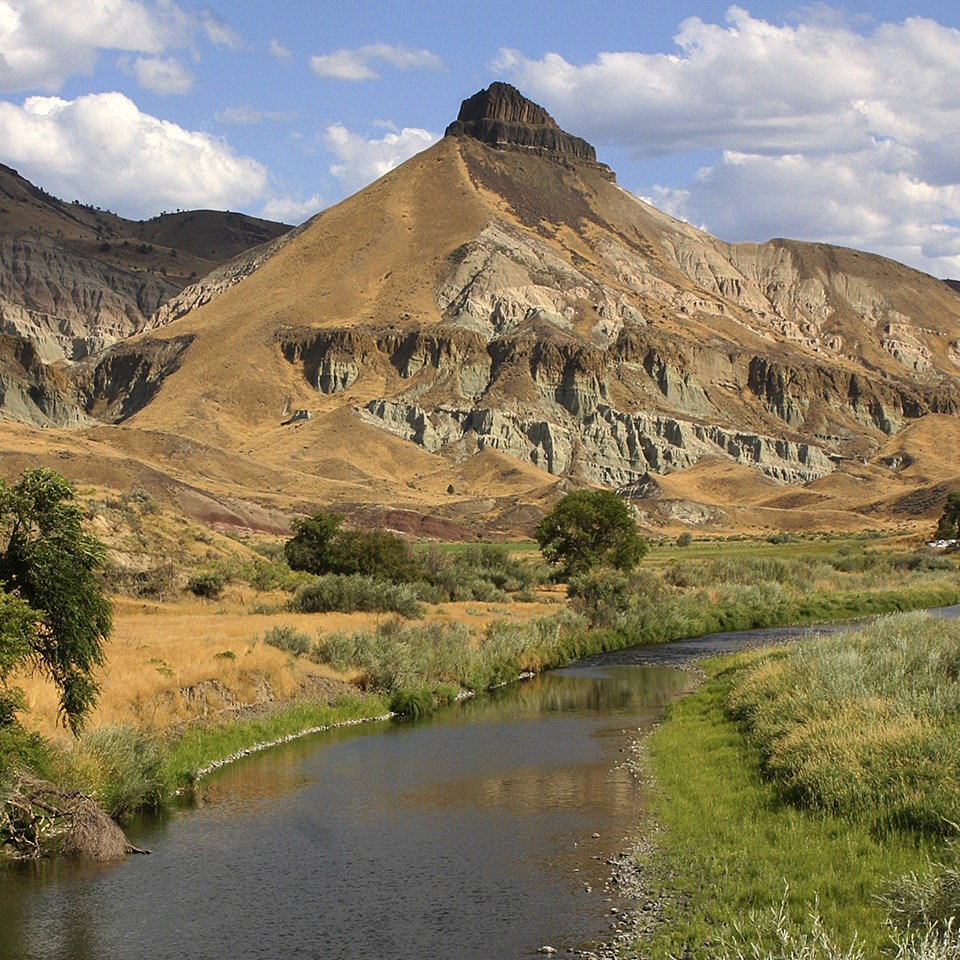Then and Now - Cenozoic Fossil Parks (U.S. National Park Service)