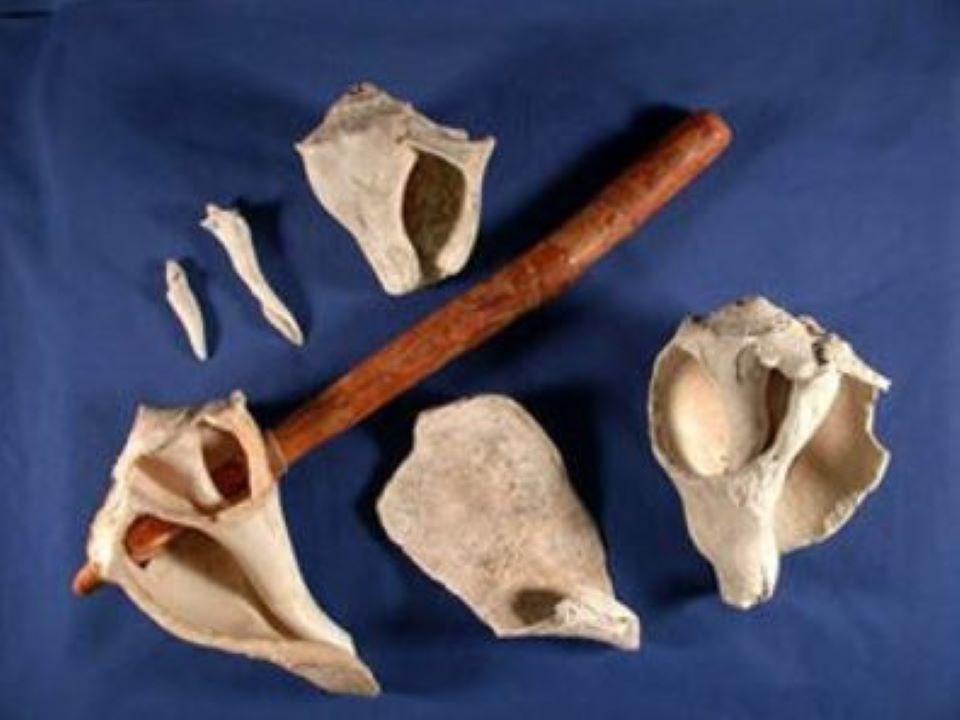 Archaeology Activity (U.S. National Park Service)