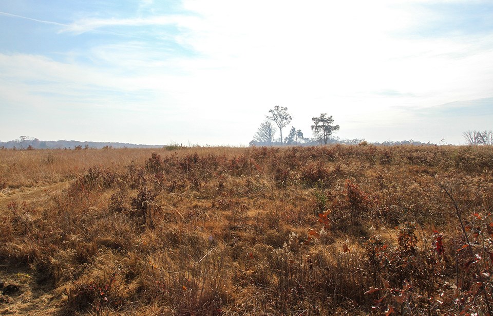 Prescribed fire in the national capital area (U.S. National Park Service)