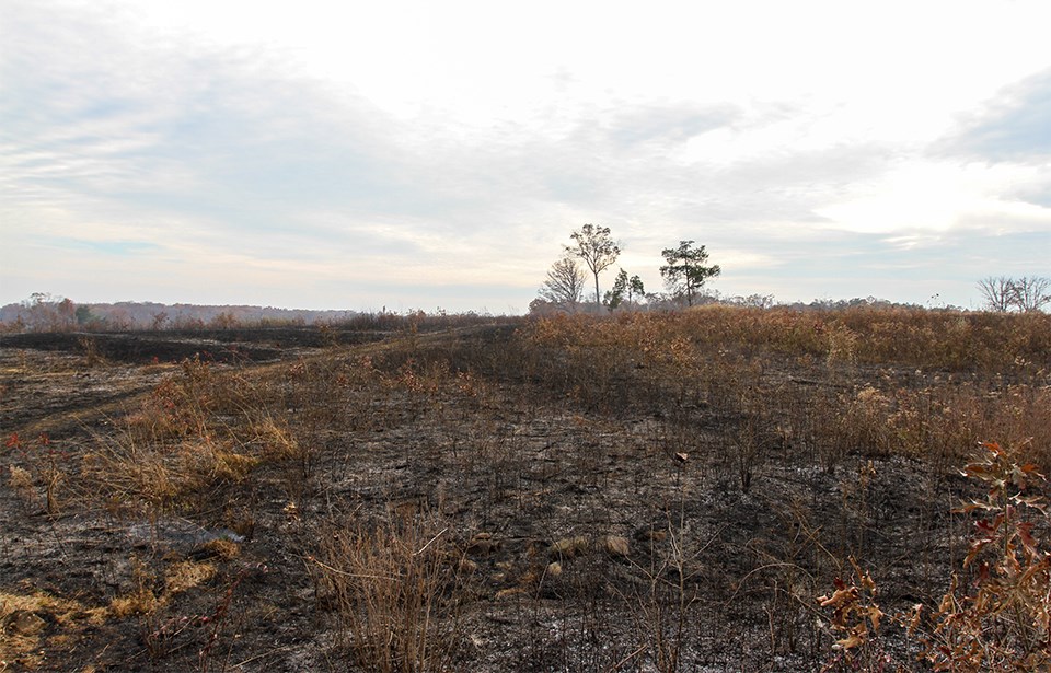 Prescribed fire in the national capital area (U.S. National Park Service)