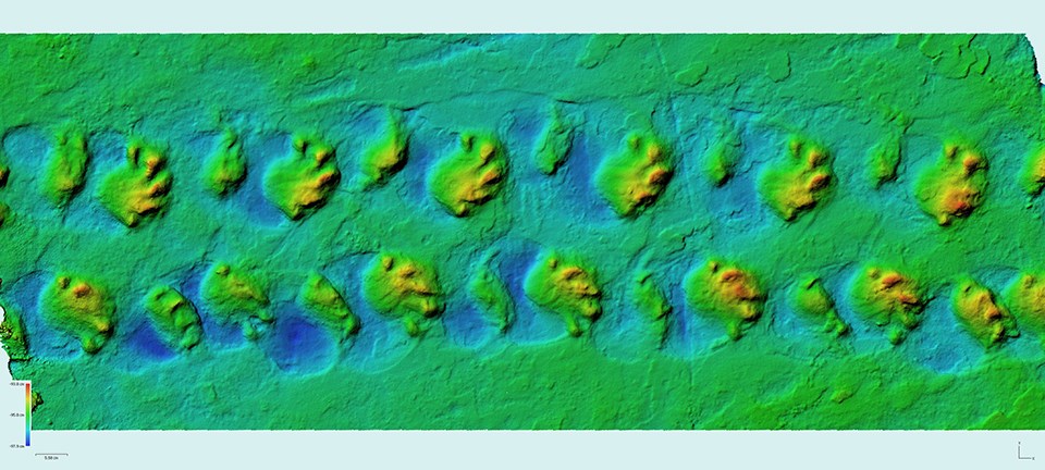 Photogrammetry—Fossils in 3D - Fossils and Paleontology (U.S. National ...