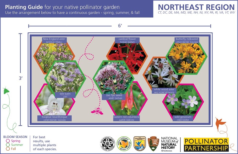 Northeast Card - Pollinators (U.S. National Park Service)