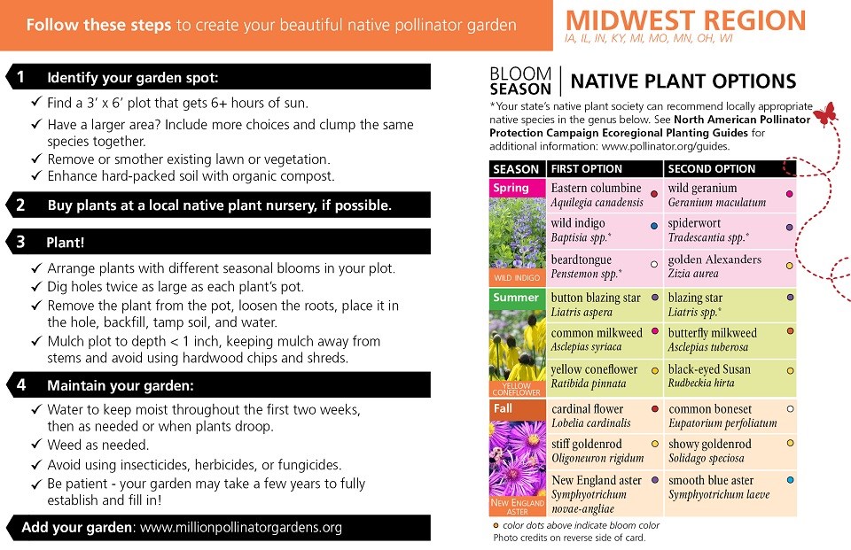 Midwest Region Card - Pollinators (U.S. National Park Service)