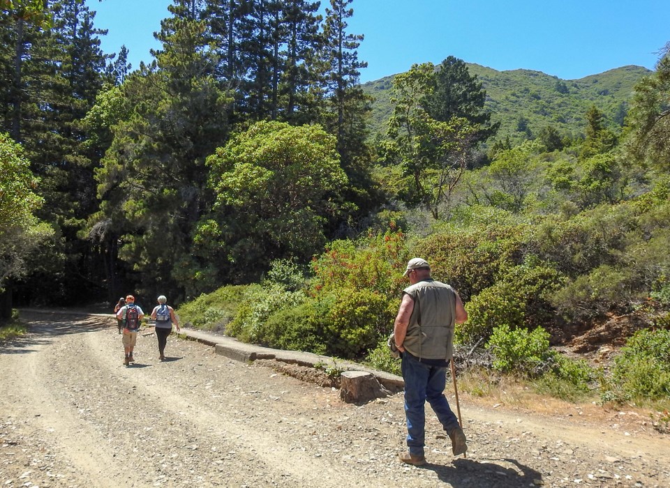 Now And Then: Muir Woods - Golden Gate National Recreation Area (U.S ...